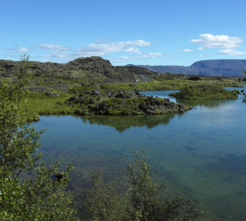 Visit North Iceland - Official Travel Guide
