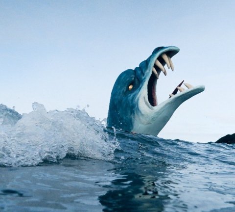 Visit North Iceland - Official Travel Guide